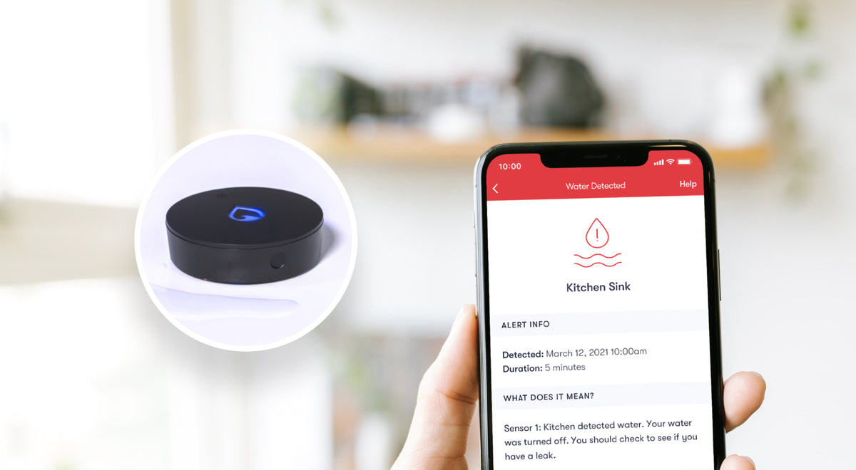 Phyn Smart Water Sensor