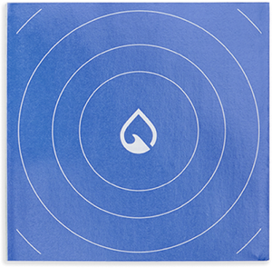 Phyn Smart Water Sensor